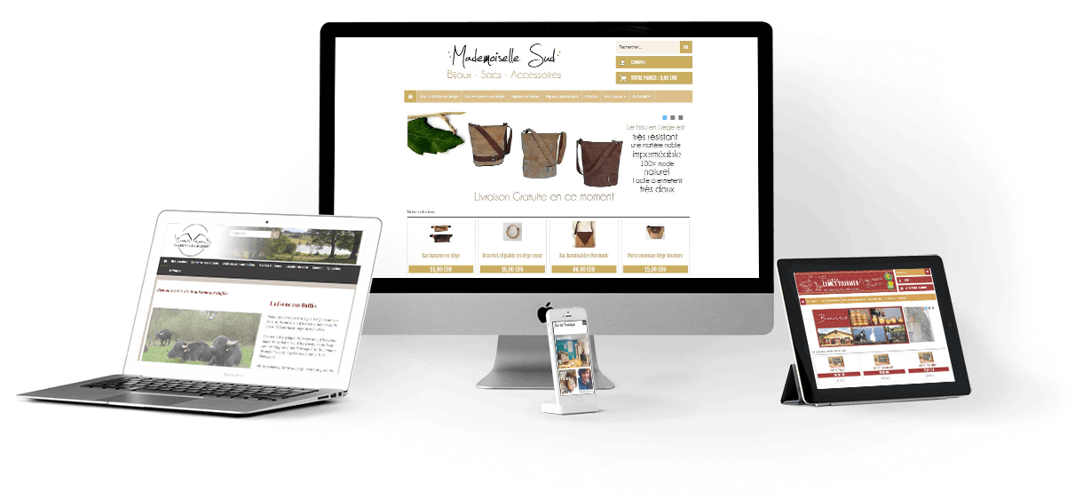 Conception Site E-commerce - MH-tech